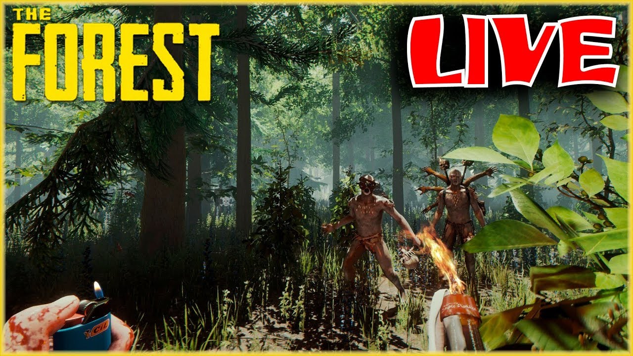 LIVE - THE FOREST | #2 - YouTube
