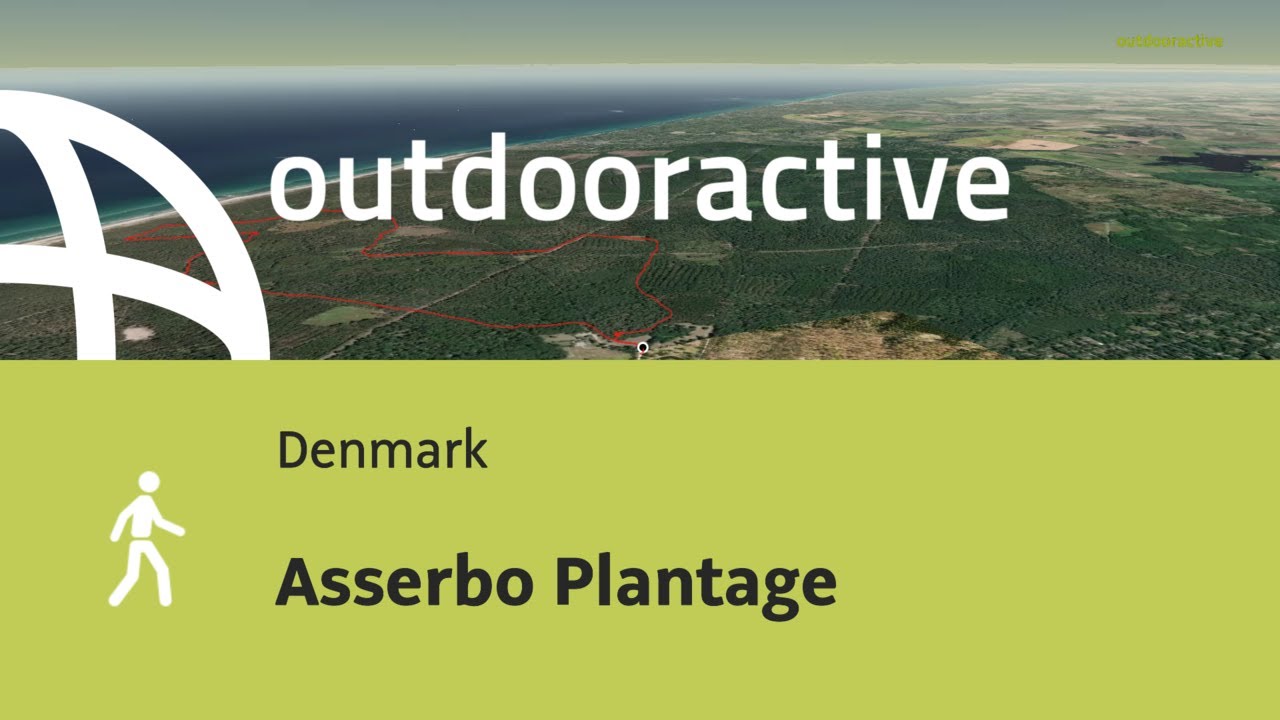 hike in Denmark: Asserbo Plantage - YouTube