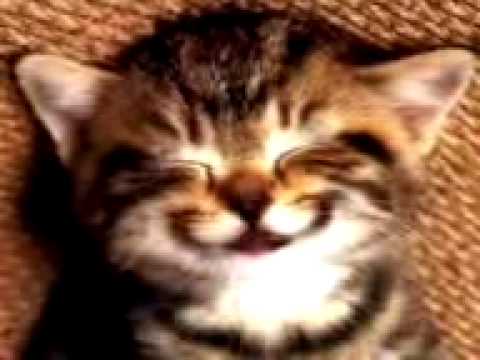 Sweet seventeen sarah azhari