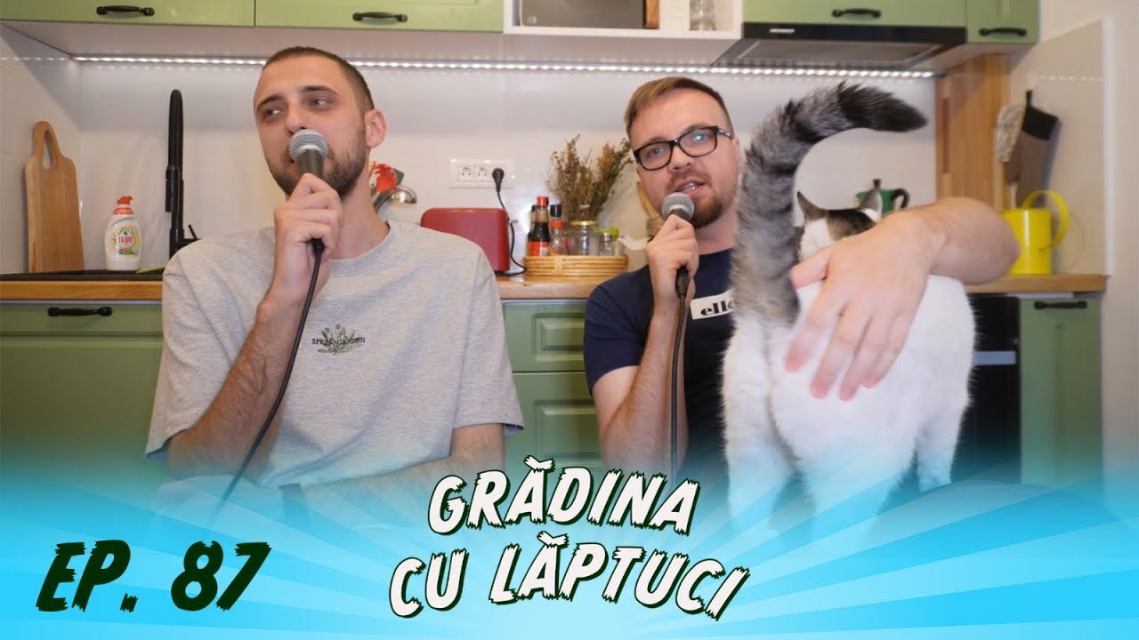 GRADINA CU LAPTUCI #87 QUATTRO FORMAGGI SI WOODY ALLEN - YouTube