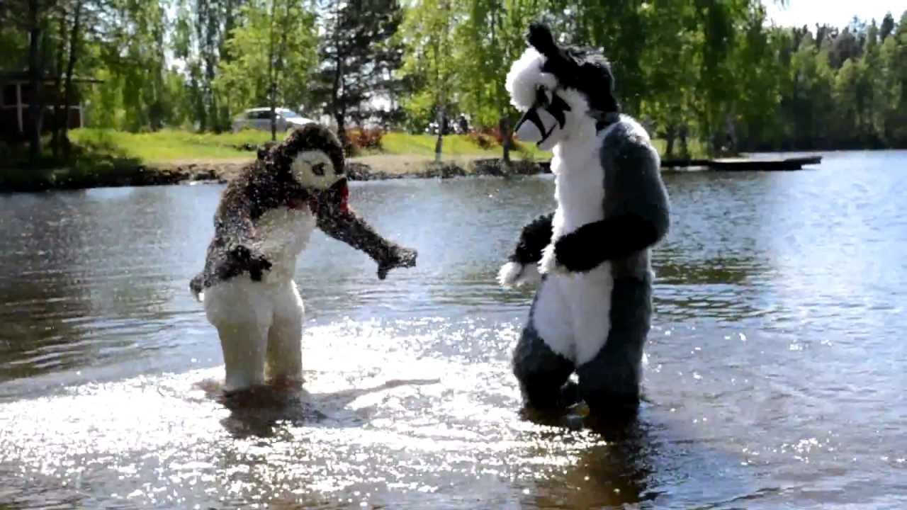 Fursuiters enjoying finnish summer and swimming - YouTube