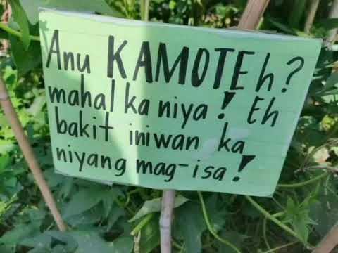 HUGOT COMPILATION wd VEGETABLES TWIST - YouTube