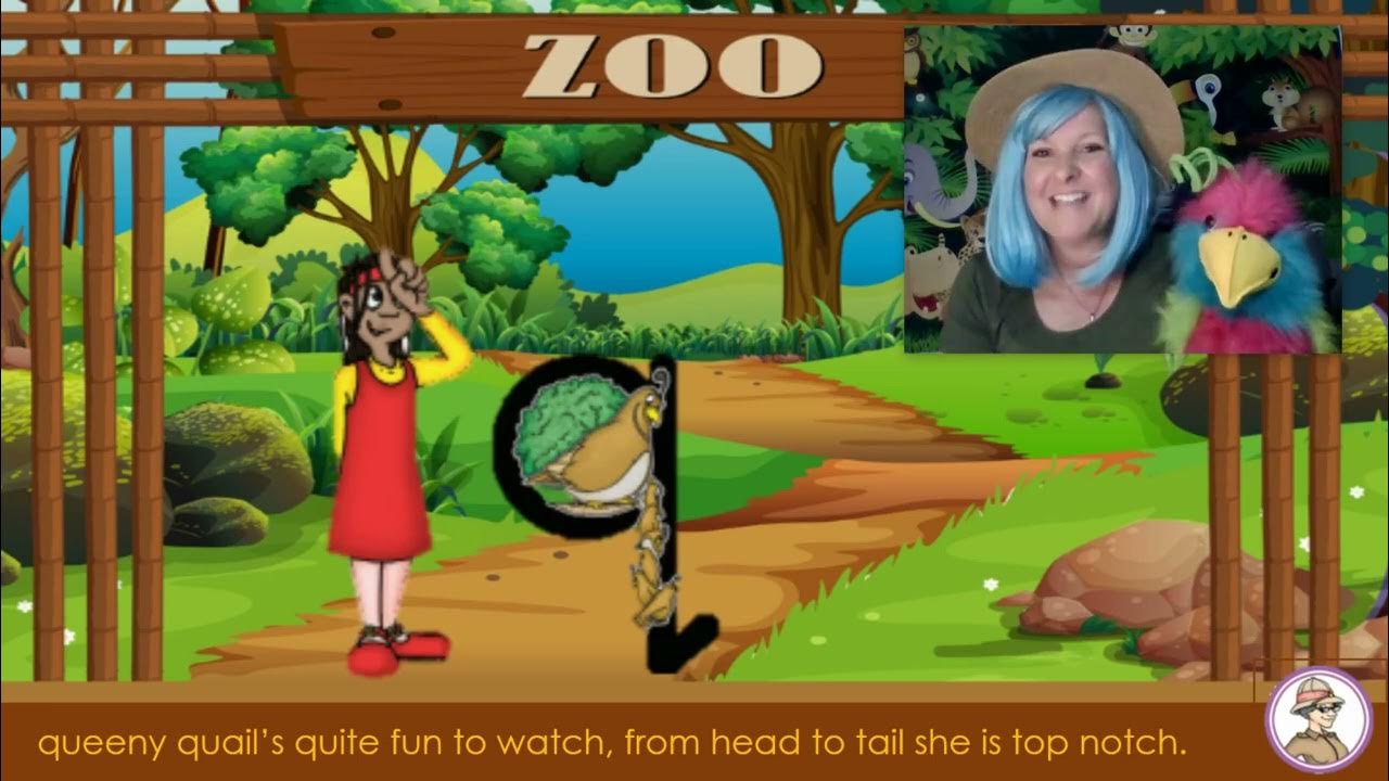 Zoo Phonics Queenie Quail Letter Q - YouTube