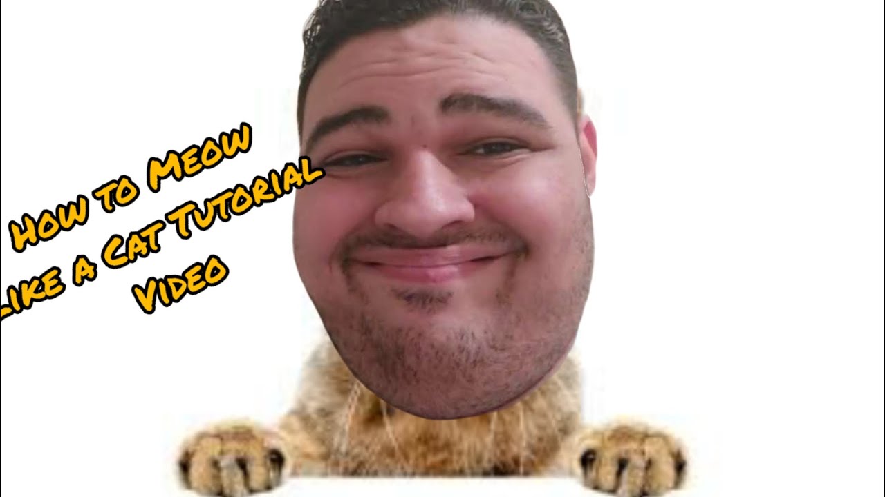 How to Meow Like a Cat Tutorial video - YouTube