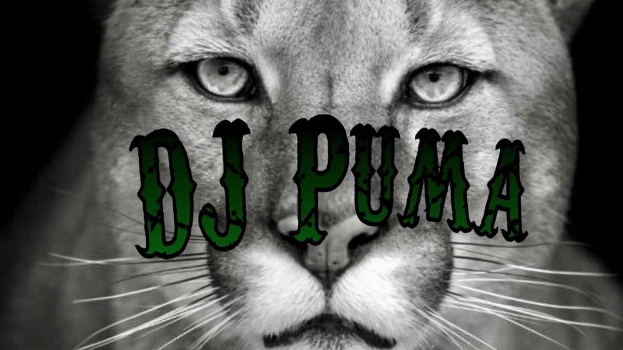 DJ Puma | Dubstep (Fast. Music) - YouTube