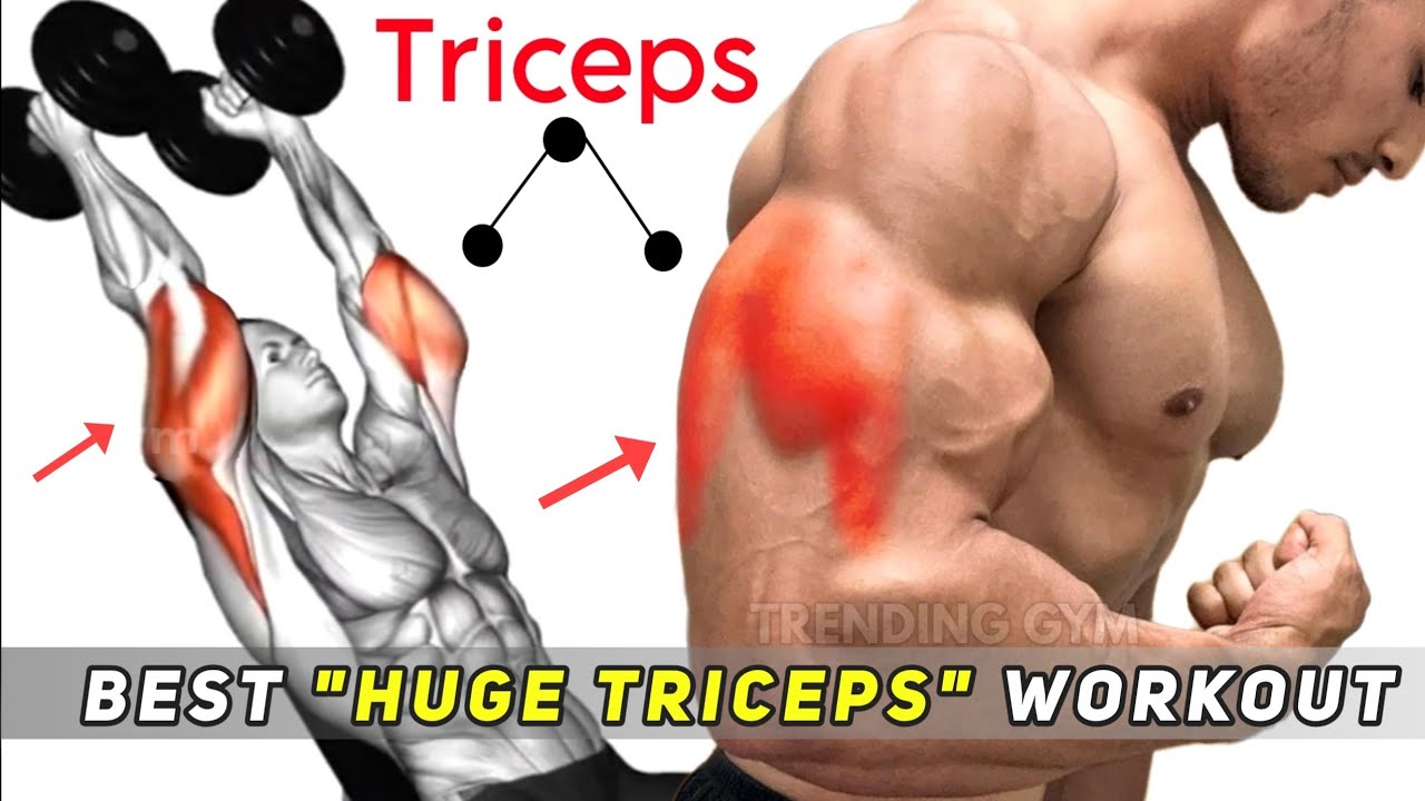 Huge Triceps - 8 Best Triceps Exercises For Huge ARMS - YouTube