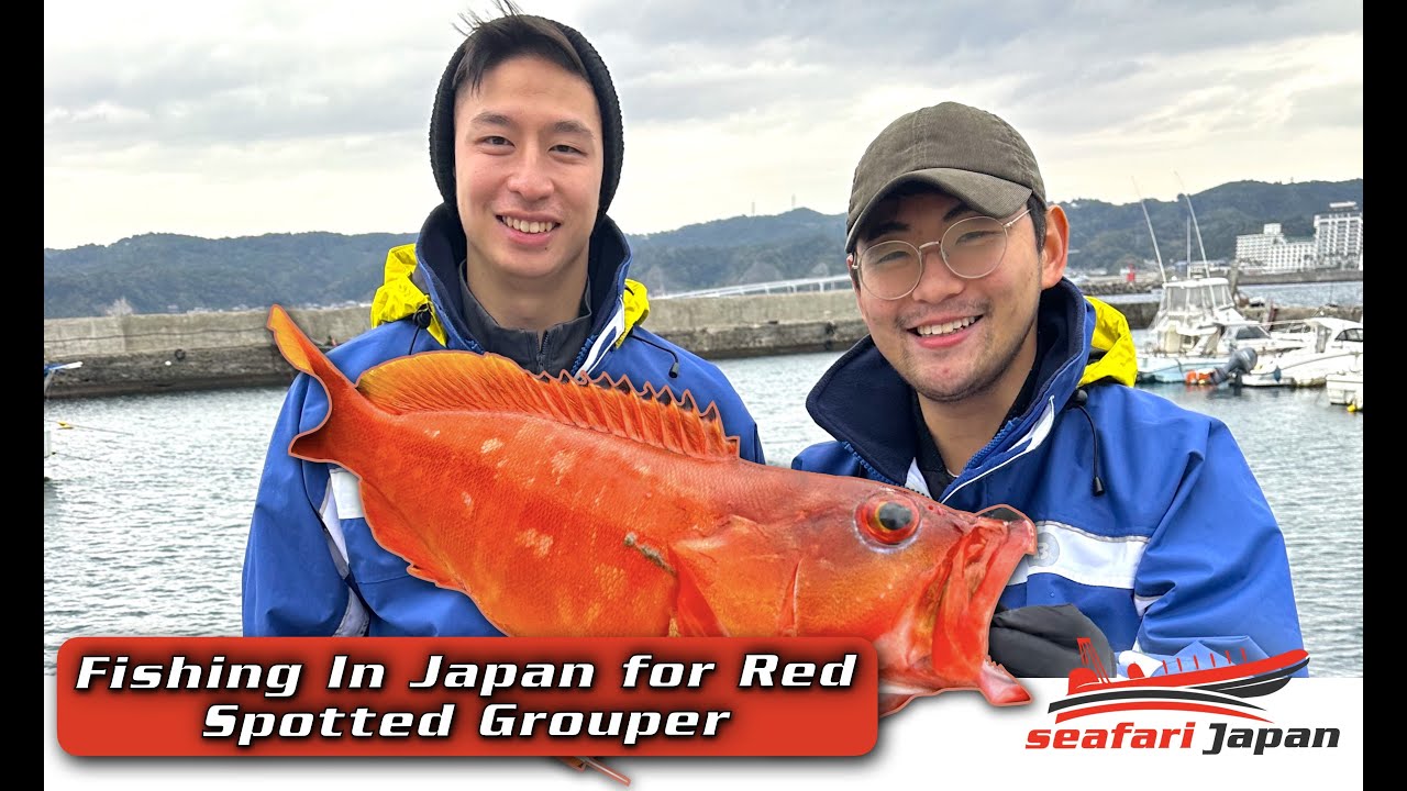 Fishing In Japan for Red Spotted Grouper - YouTube