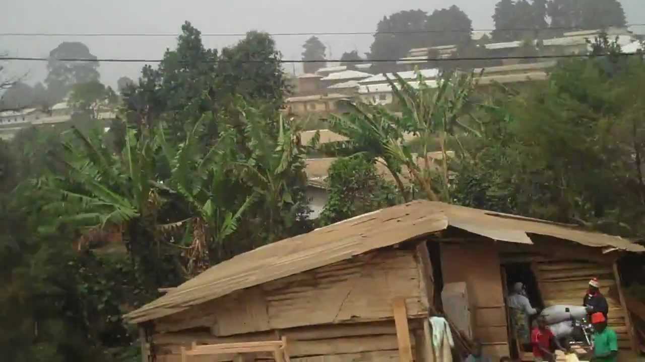 African Panaxia and Honey sold on my road trip Bamenda to Douala ...