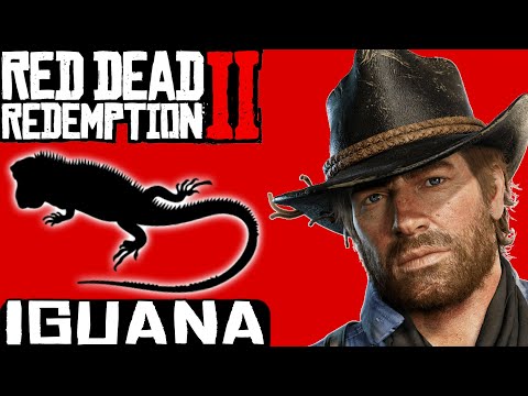 RDR2 | Perfect iguana skin location - YouTube