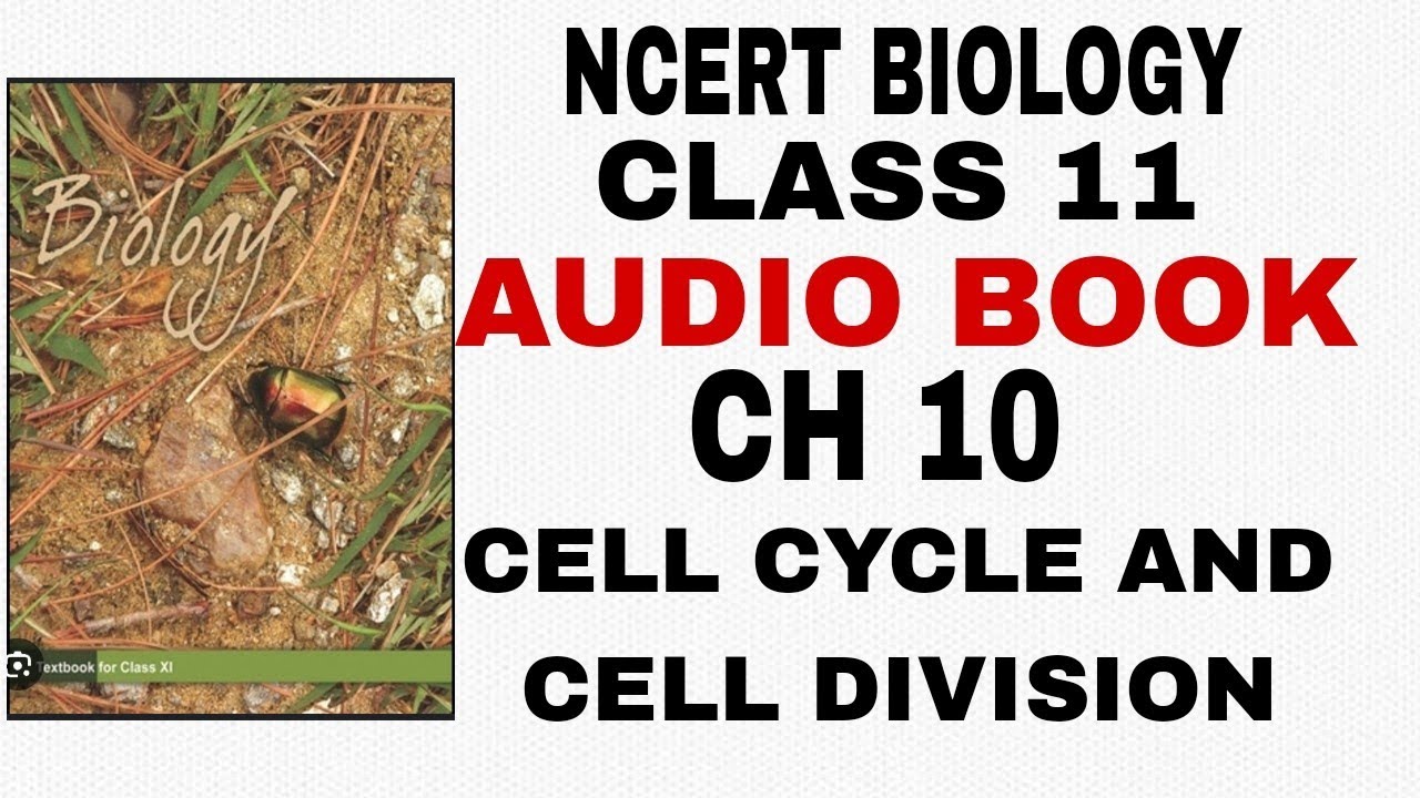 NCERT BIOLOGY CLASS 11 AUDIO BOOK CH 10 CELL CYCLE AND CELL DIVISION 2024-25 - YouTube