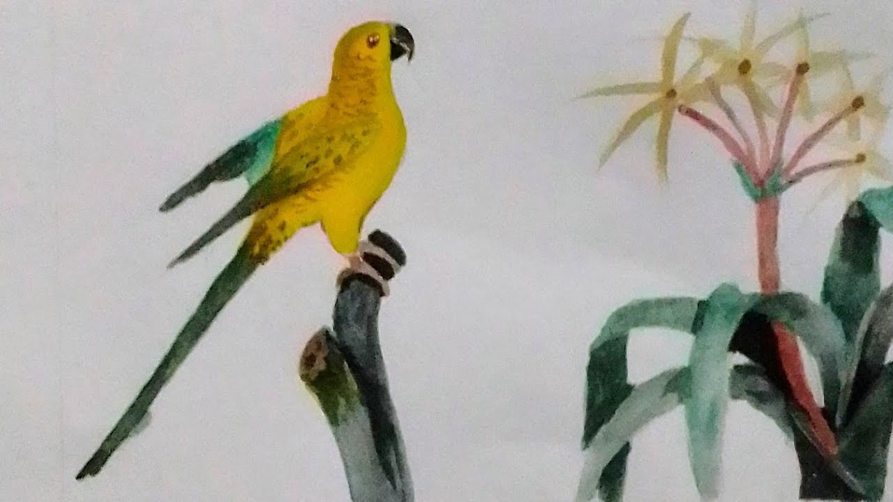 Bird Painting | Easy Painting Tutorial | Step by Step Guide to Bird ...