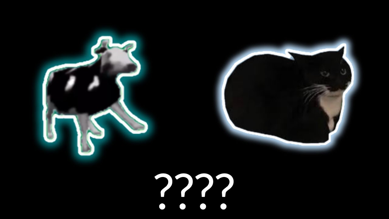 10 Maxwell The Cat Vs Polish Cow Sound Variations in 53 Seconds Part 3 ...