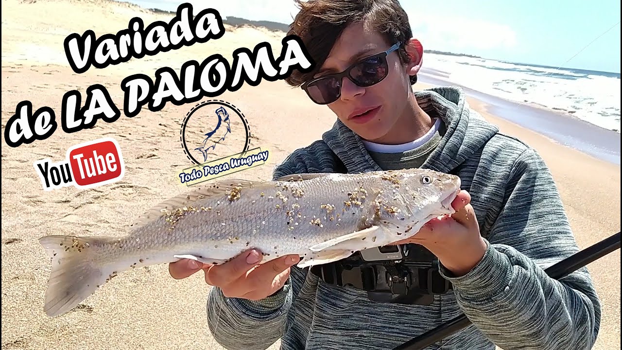 Exelente Pesca con Amigos/En Arachania/Rocha Uruguay. - YouTube