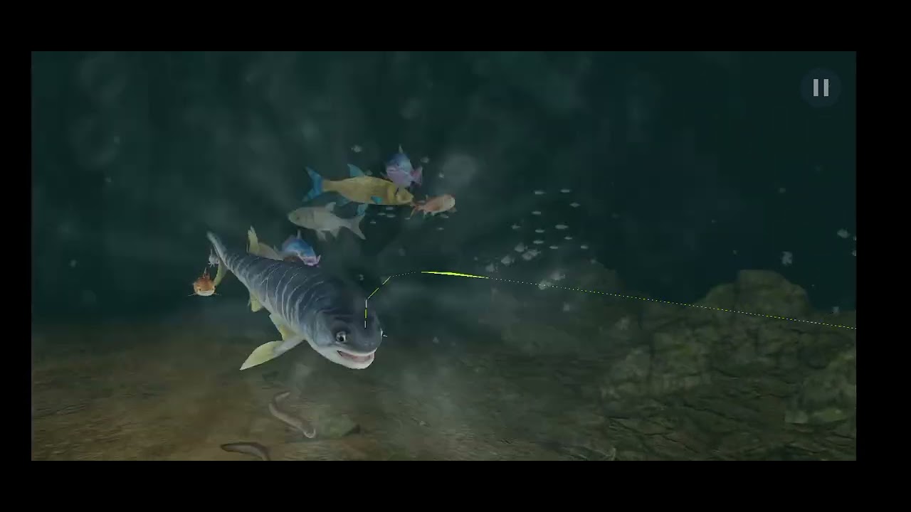 fishing world championship DAY 89 - YouTube