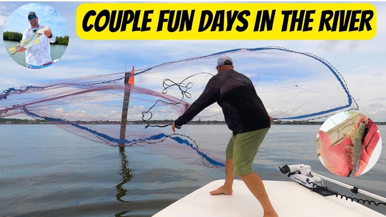 Catching SNOOK & LOOKING FOR SHRIMP In The River! - Good Ole Summertime Inshore Days Are Fun ...