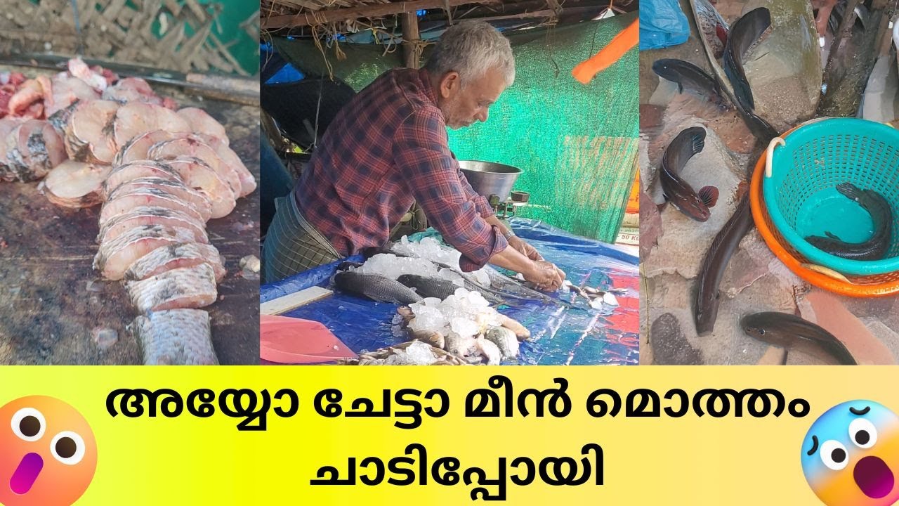 ഉശിരൻ കണ്ണൻ മീനുകൾ 🔥 varaal Fish🔥 bral Fish🔥Snake head fish - YouTube