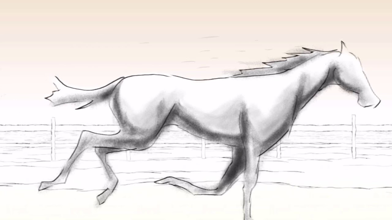 Horse running short animation - YouTube
