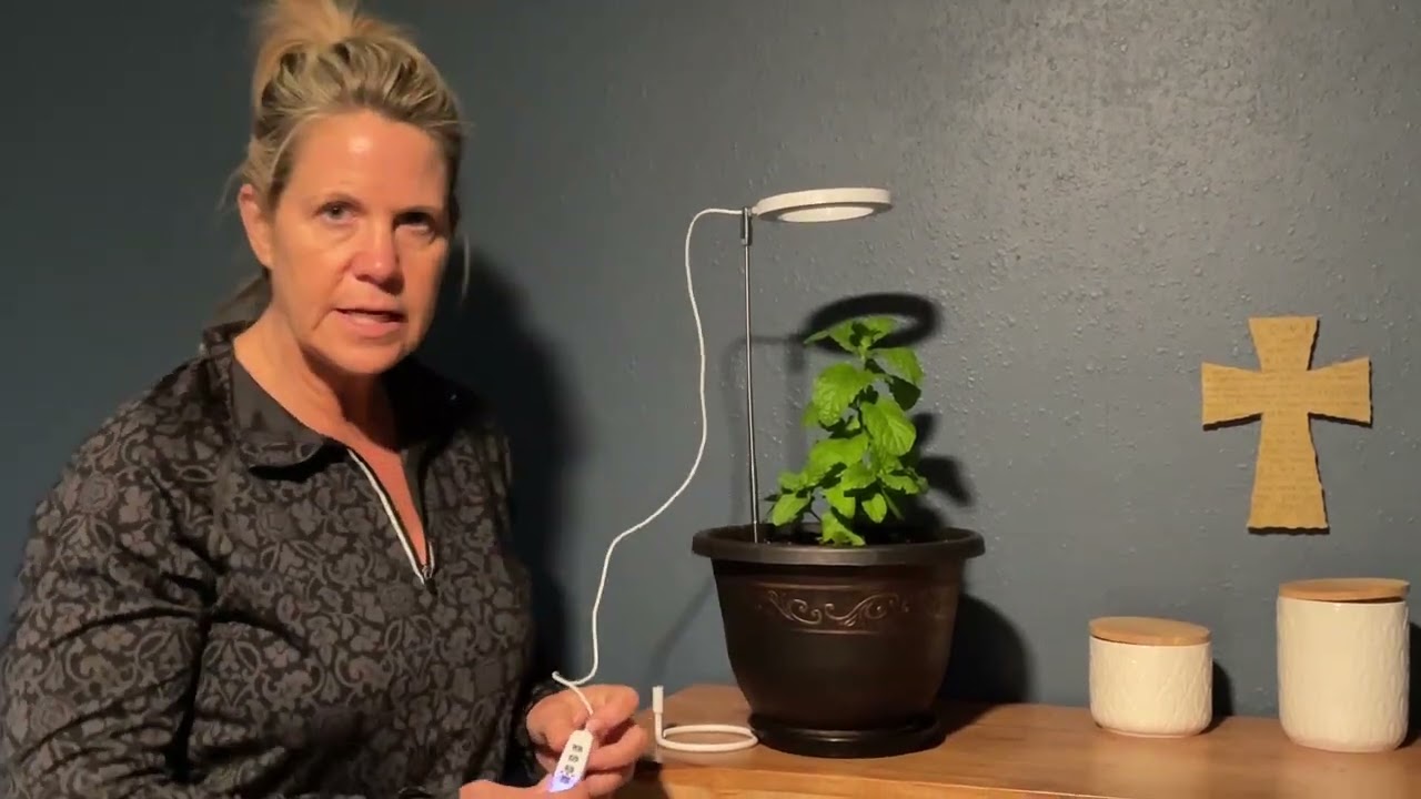 The Mysteries of Indoor Plant Lighting | Houseplant Lighting Tour - YouTube