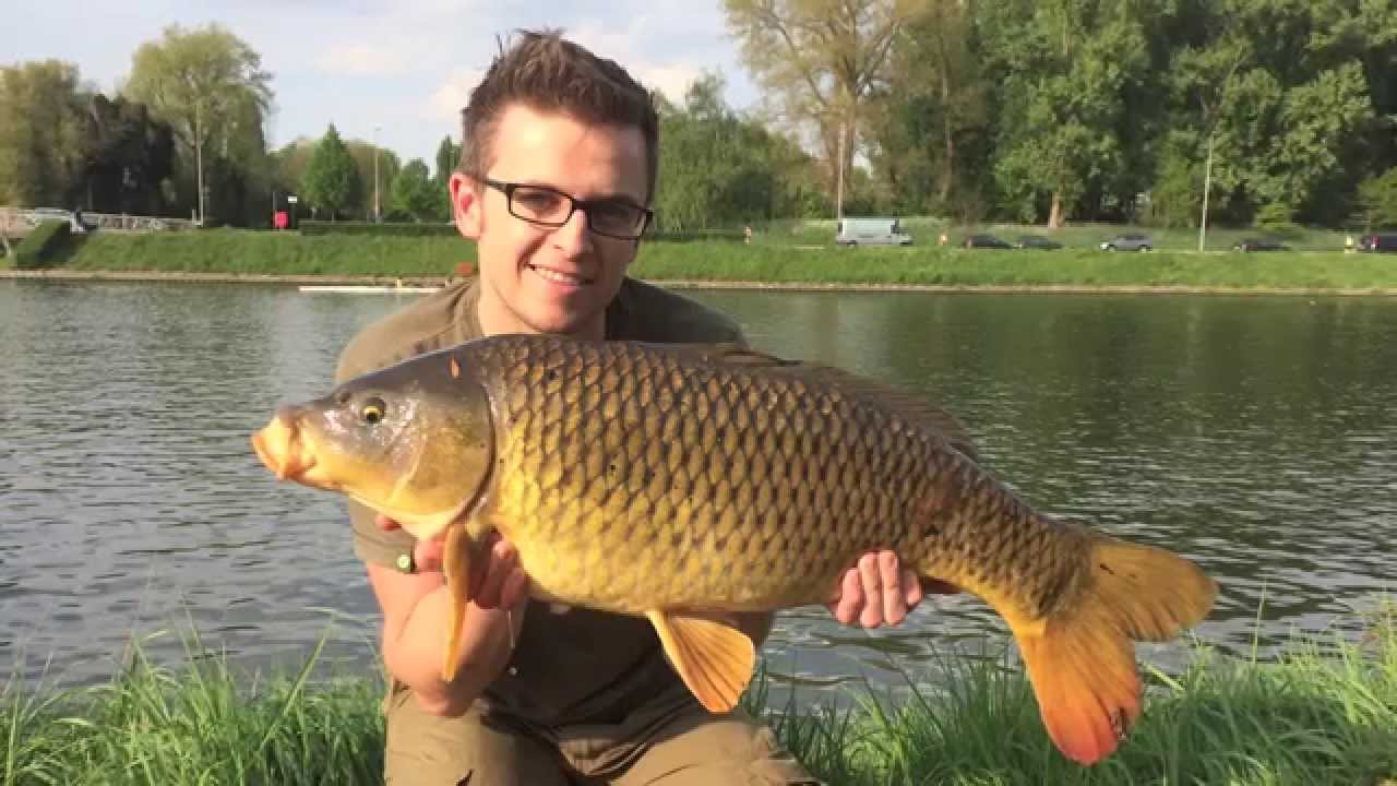 Work, Fish, Sleep, Repeat #4 - YouTube