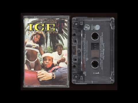 Ice-T – Rhyme Pays (1991, CD) - Discogs