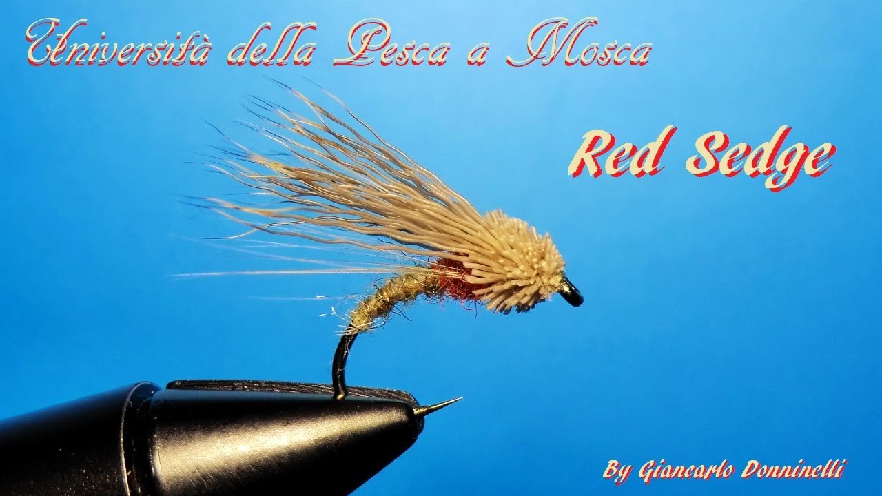RED SEDGE by Giancarlo Donninelli - YouTube