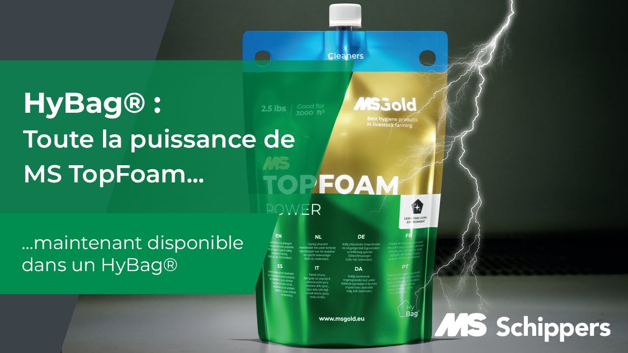 HyBag® : Toute la puissance de MS TopFoam maintenant disponible dans un ...