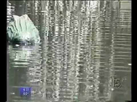 Gator Guard Alligator Decoy - YouTube