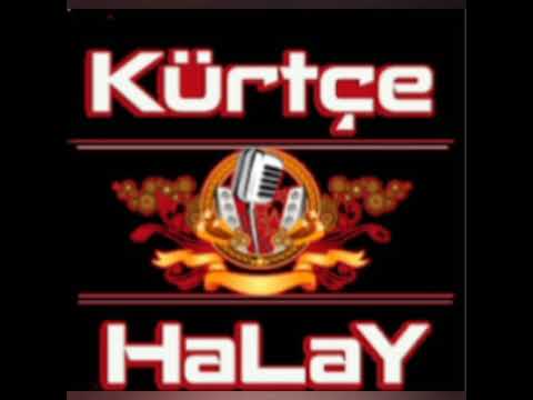 Kürtçe Halay Haraketli