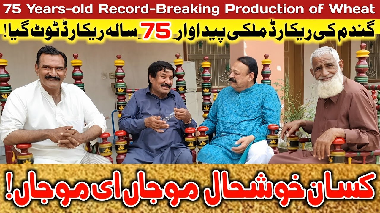 75 Years-old Record-Breaking Production of Wheat | Maila Tv | Dr javed ...