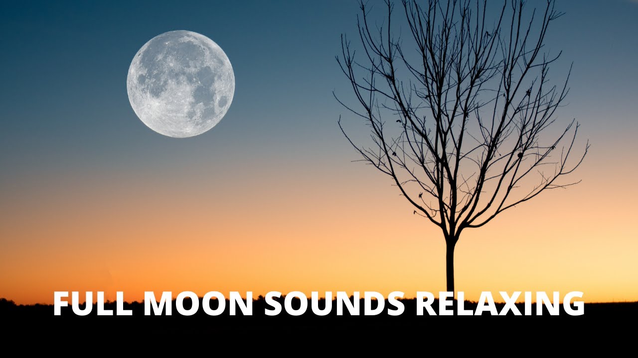 Full Moon Night Sounds 8 Hours Nature Sounds Crickets frogs Insects ...
