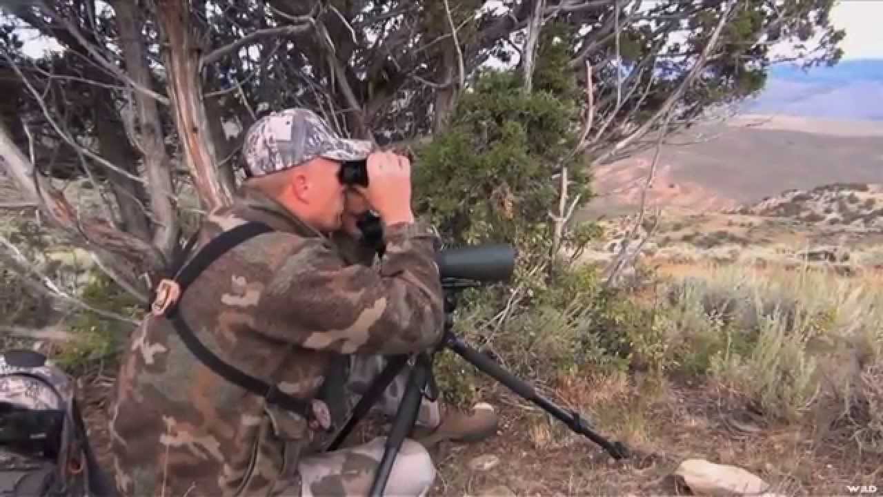 Hunting Deer with a Sniper Rifle - YouTube