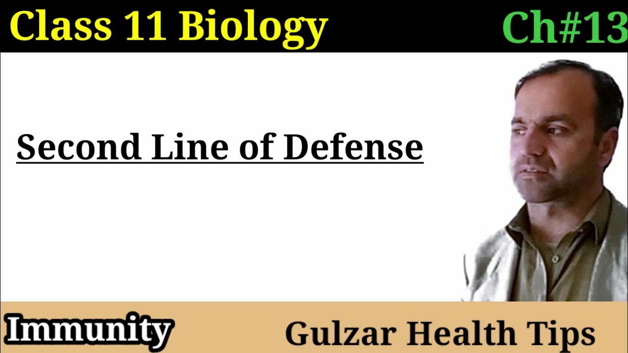 Second line of defense (WBC) Immunity | class 11th Biology. - YouTube