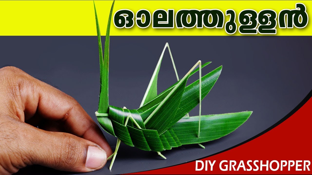 DIY Grasshopper| Easy to make grasshopper | DIY craft ...