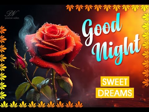 Rose With Good Night Photo