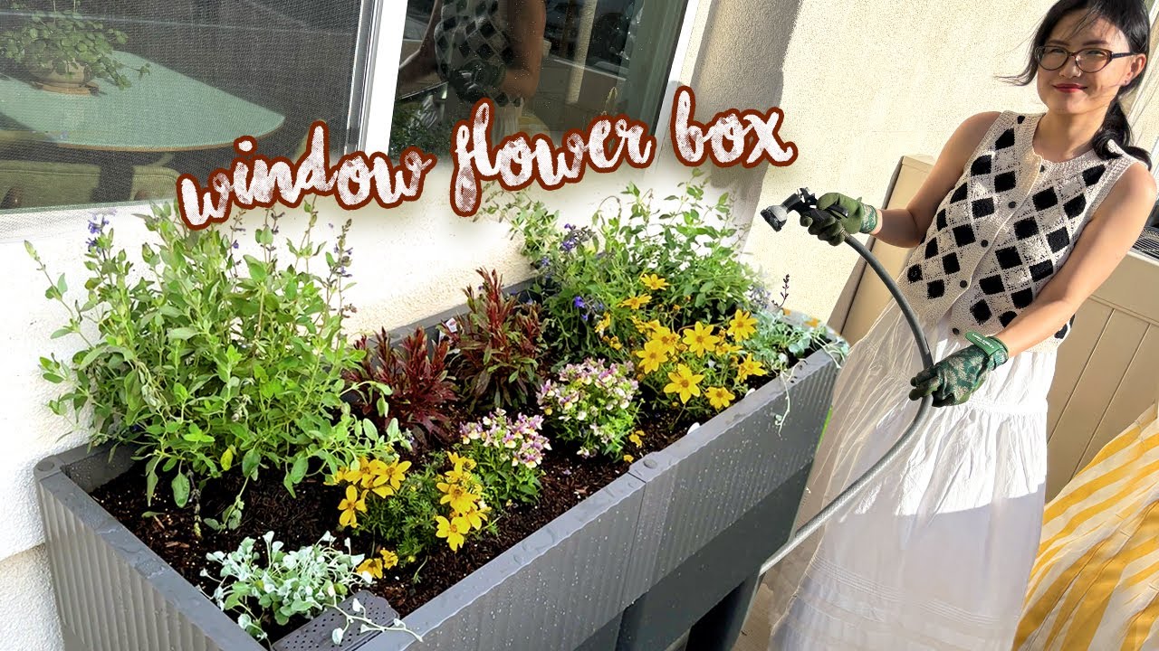 The Cutest Window Box Setup for Spring 🌼 | Vego Garden EZCube Unboxing ...