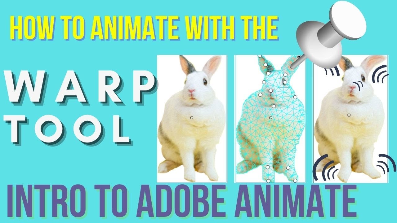 Warp Tool | 11-Intro to Adobe Animate | Animating Bitmaps - YouTube