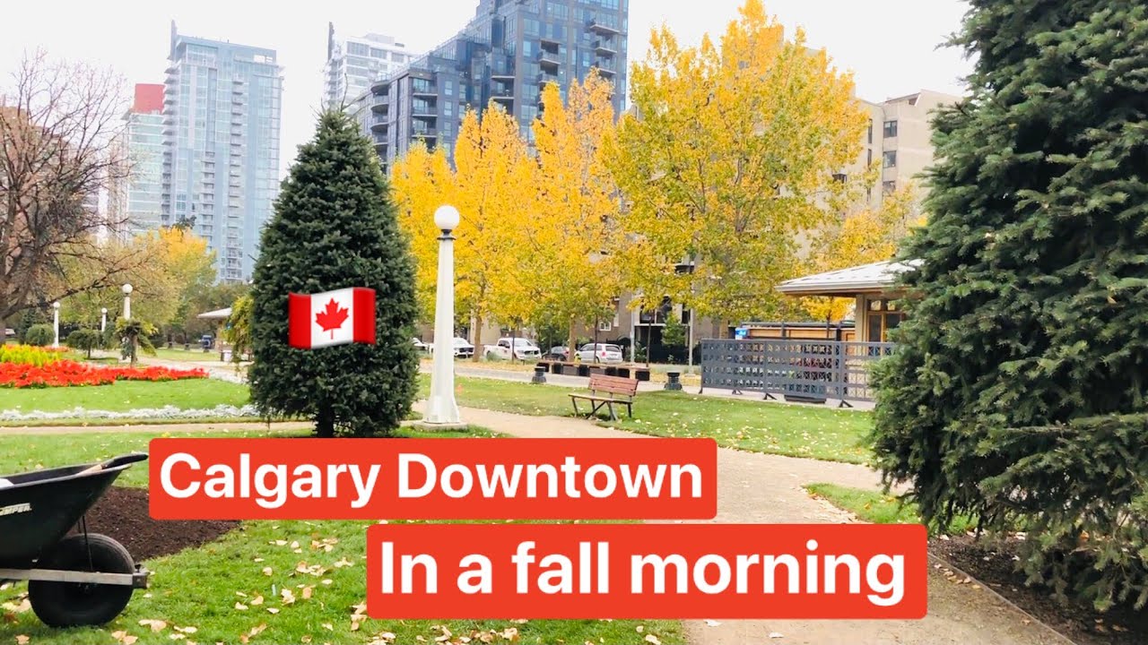 A fall morning in Calgary Downtown, Alberta, Canada 🇨🇦 - YouTube