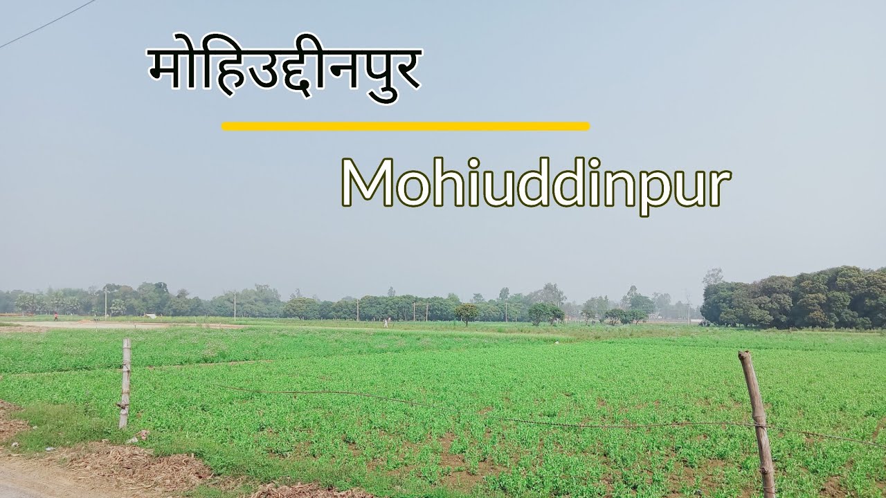 Mohiuddinpur Gaon | मोहिउद्दीनपुर गांव | Farming Fields | ऐसा है मेरा ...
