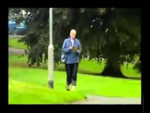 funny tree cutting accidents - YouTube