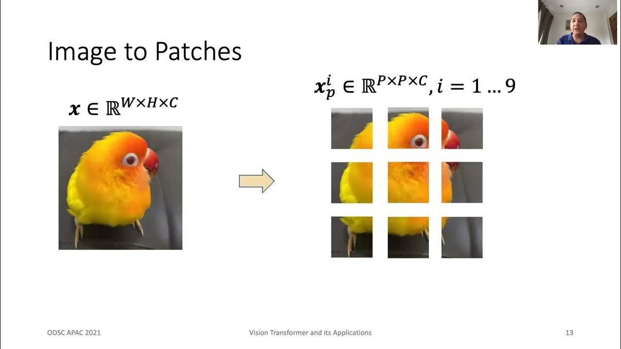 Vision Transformer and its Applications - YouTube