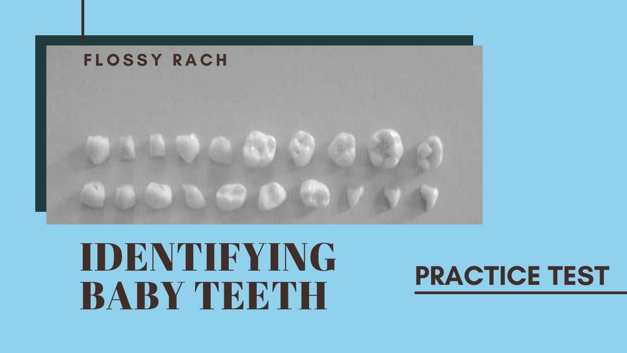 TOOTH IDENTIFICATION | Practice Test for Deciduous - YouTube