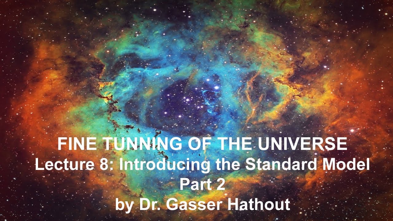 Lecture 08: Introducing the Standard Model 2 - Fine Tuning of the ...