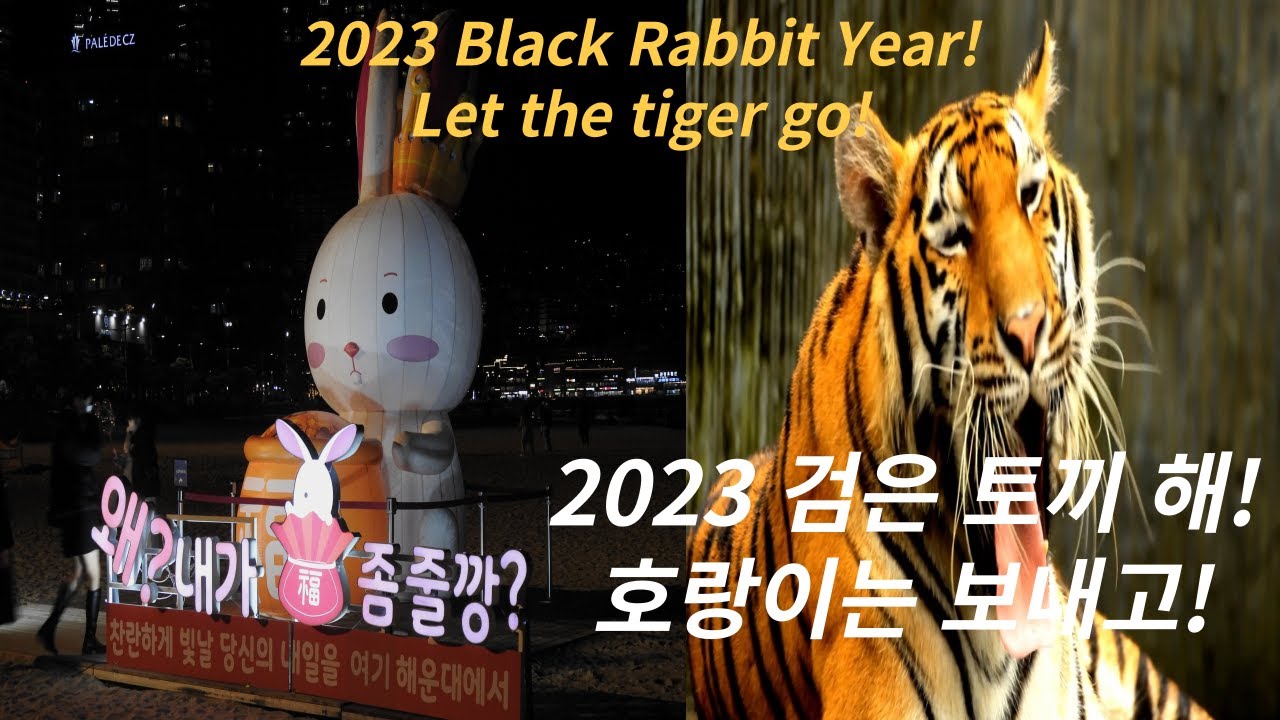 2023 Black Rabbit Year Let The Tiger Go 2023 검은 토끼 해 호랑이는 보내고 Youtube