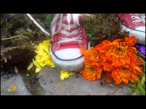 Red Converse crushing plants