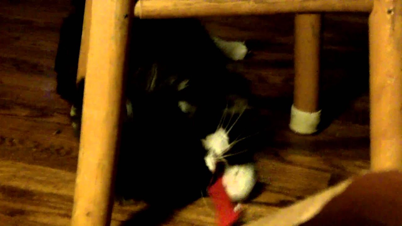 Nipping out - YouTube
