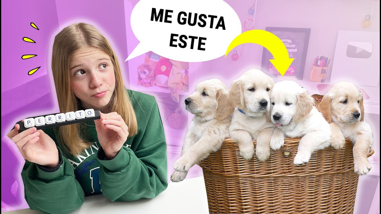SI LO PUEDES DELETREAR TE LO COMPRO CHALLENGE! BUSCANDO UN PERRO BEBÉ ...