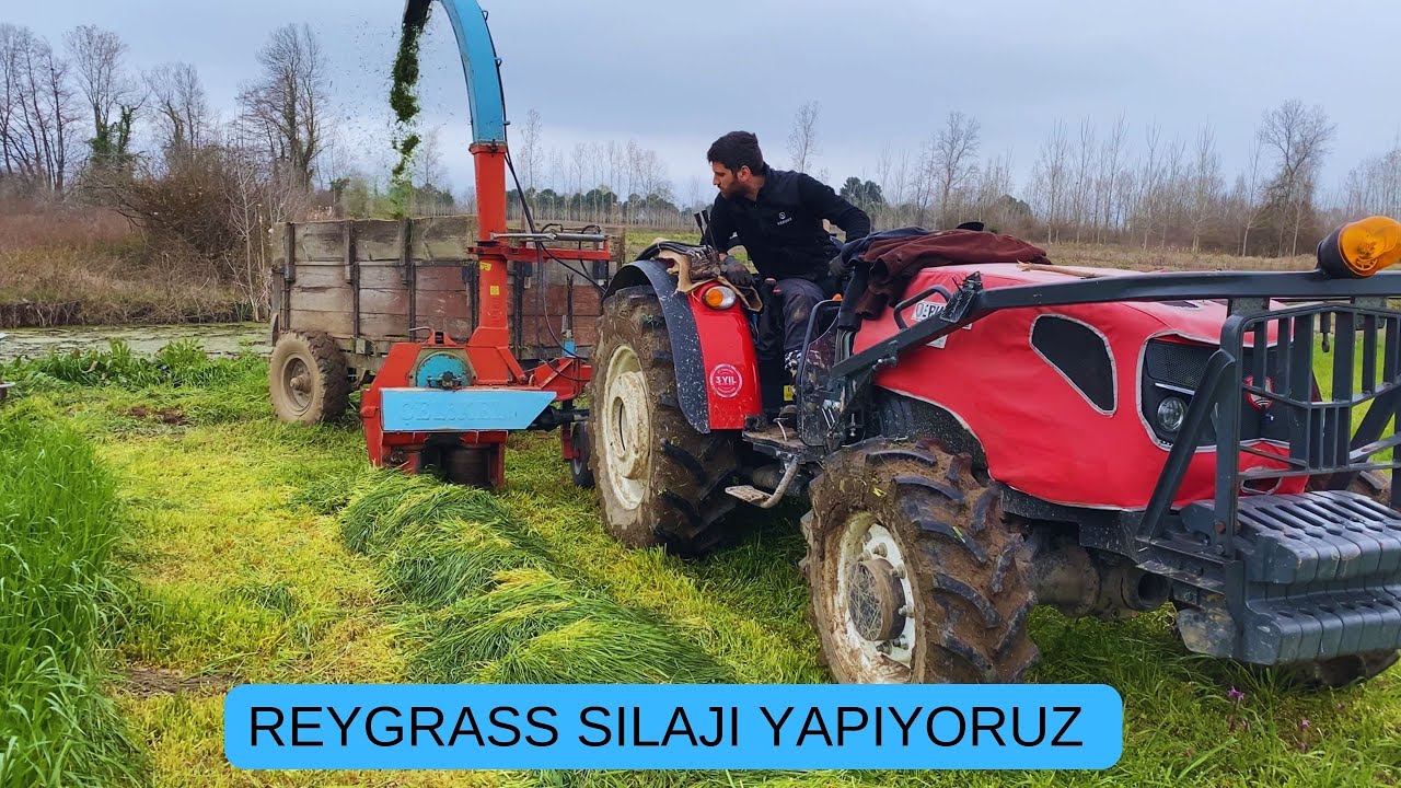 MISIR SILAJ MAKİNESİ İLE OT SILAJI YAPMAK / REYGRAS SILAJINI DENİYORUZ ...