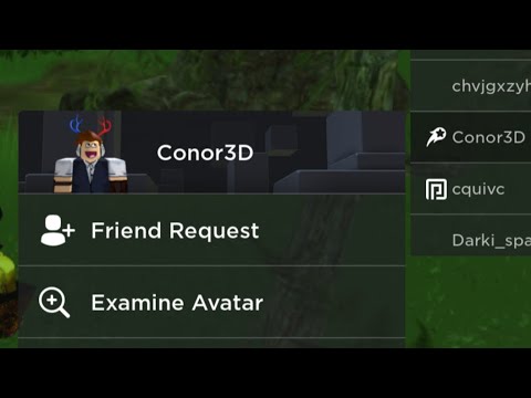 So I Found Conor3D In A Random Sever