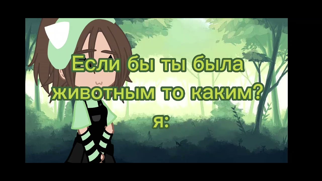 если бы ты был животным Youtube