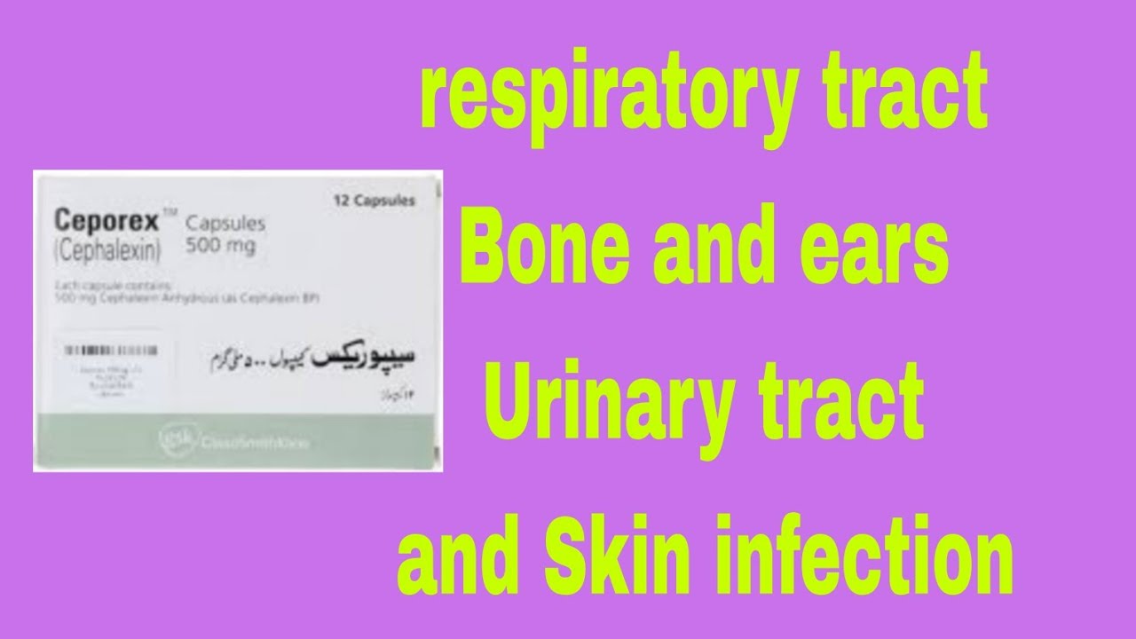 Ceporex 500mg & 250mg Capsule (Cephalexin) Uses Benefits and Sideffect ...